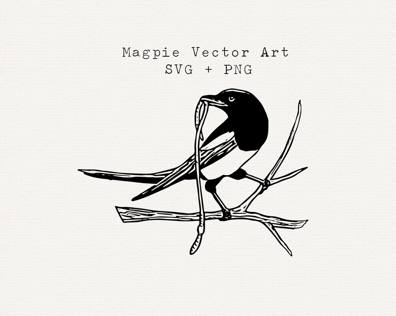 Magpie SVG Magpie Clipart Magpie Drawing Bird Vector - Etsy