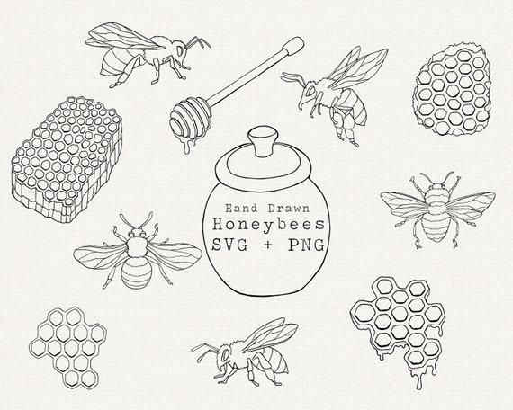 Honeybee SVG Bundle Honeycomb SVG Honey SVG Bee Line Art | Etsy