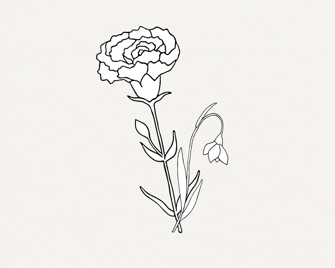 Carnation Flower SVG, Snowdrop Flower SVG, January Birth Month Flowers ...