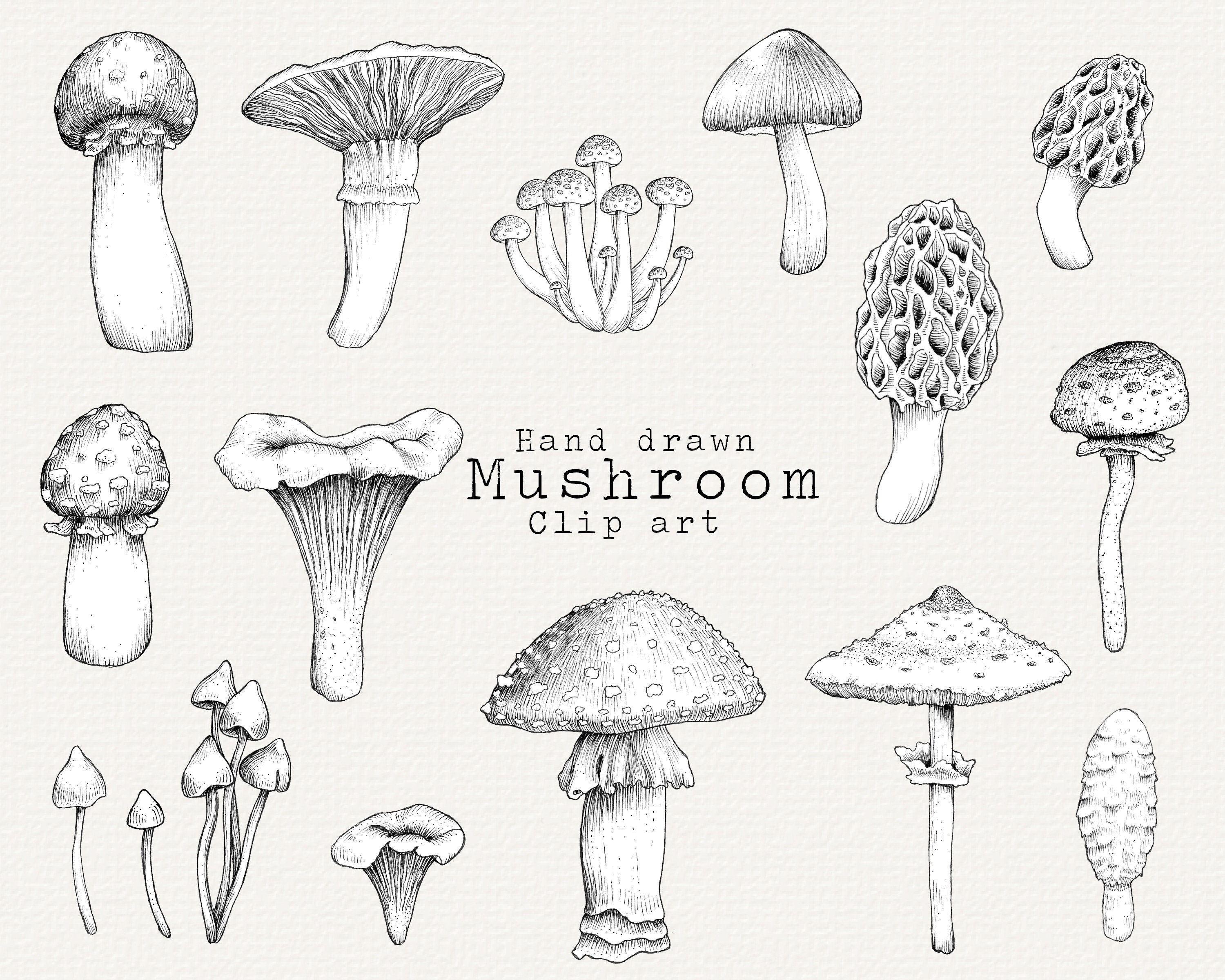 Mushroom Clip Art Black and White Mushroom Clip Art Mushroom - Etsy ...