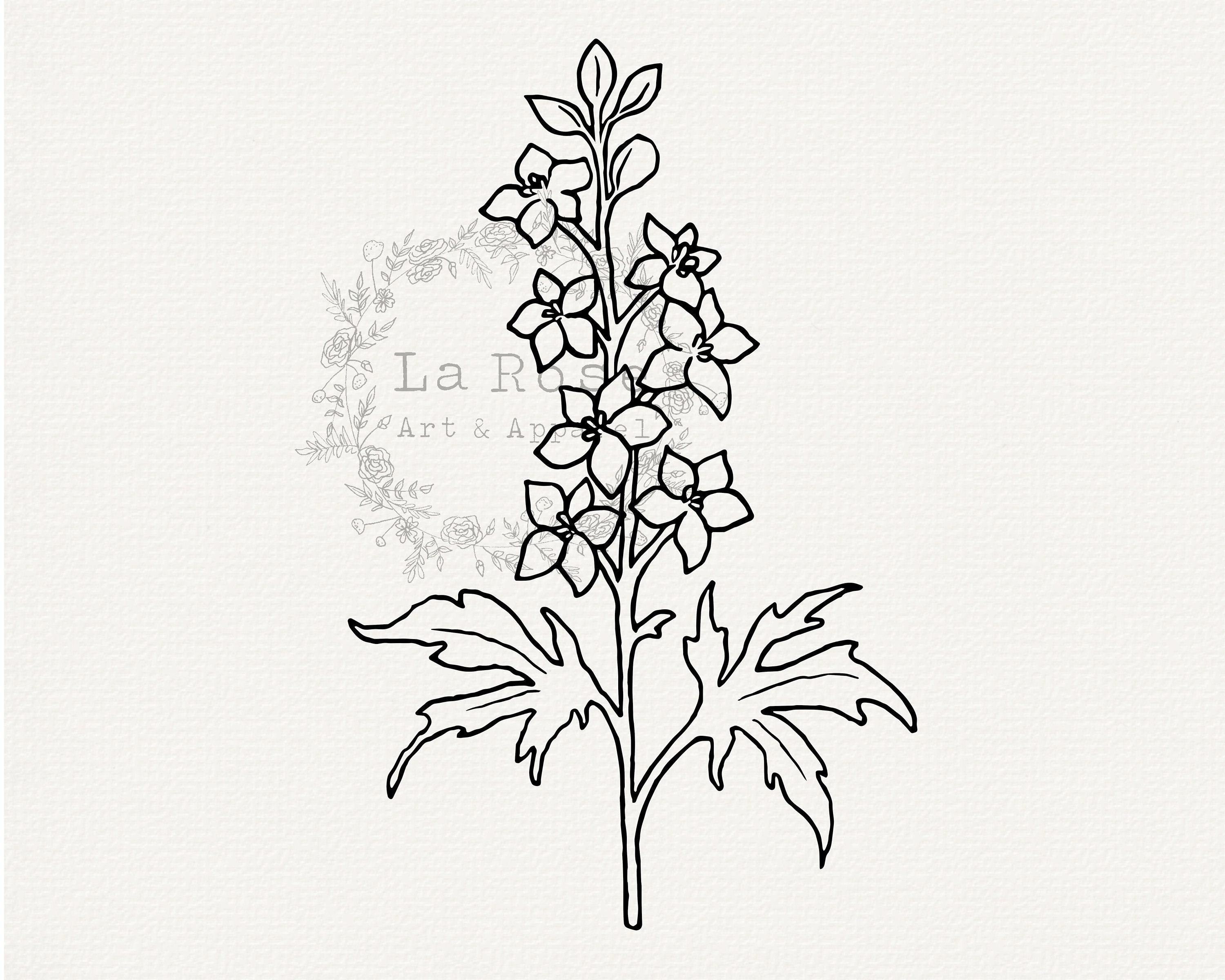 Water Lily SVG, Lilly Pad SVG, Larkspur SVG, July Birth Month Flowers ...