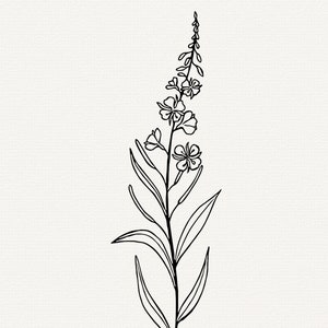 Fireweed SVG, Fireweed Herb Clip Art, Herbal Remedies Line Art, Wild ...