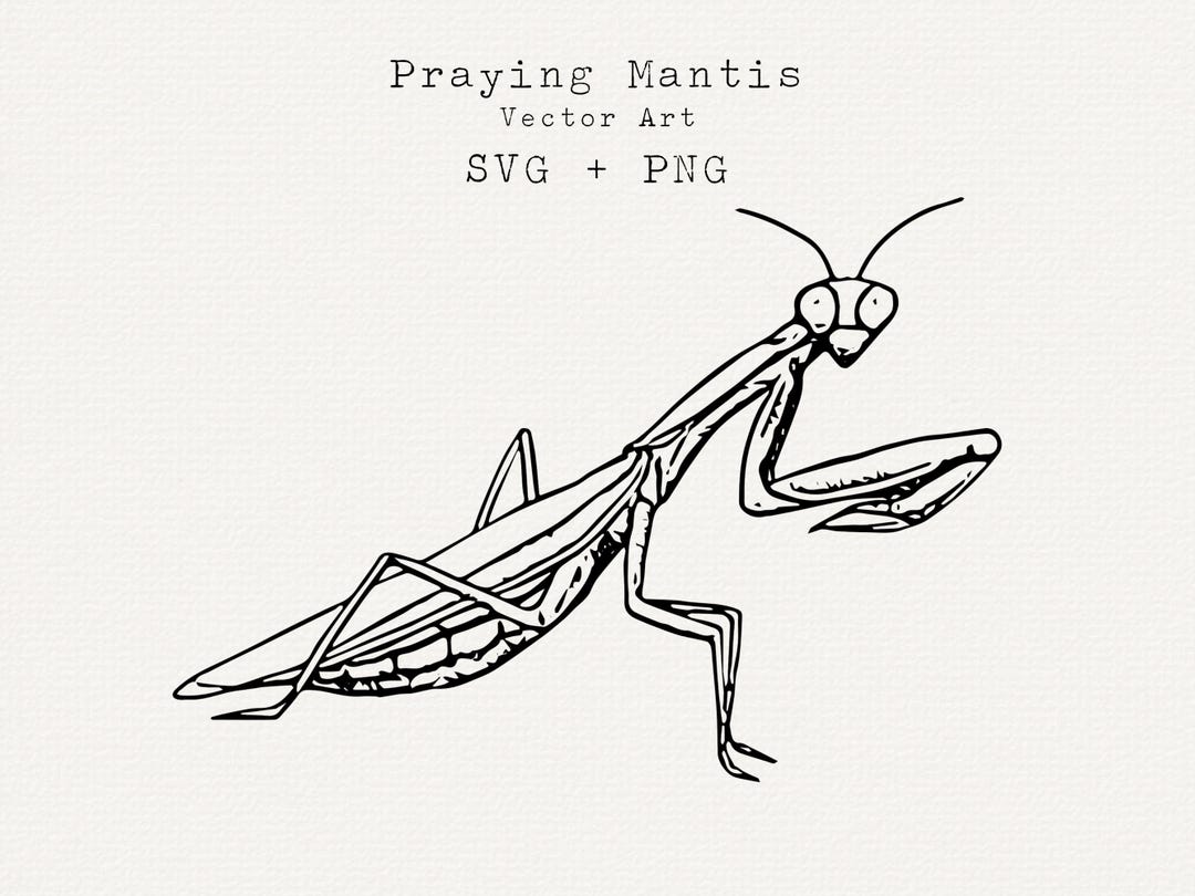 Praying Mantis SVG, Insect SVG, Bug SVG, Hand Drawn Vector Art, Cut ...