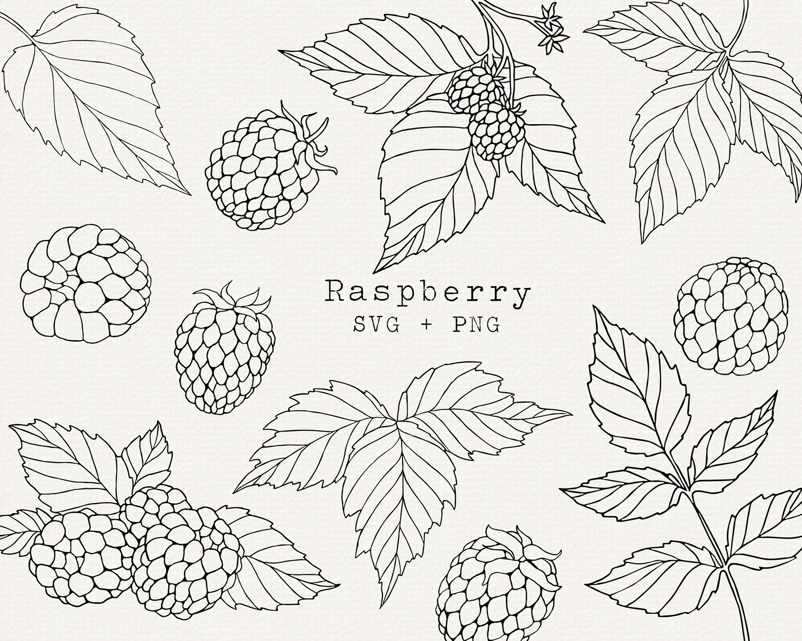 Raspberry SVG for Commercial Use Hand Drawn Raspberry Vector - Etsy