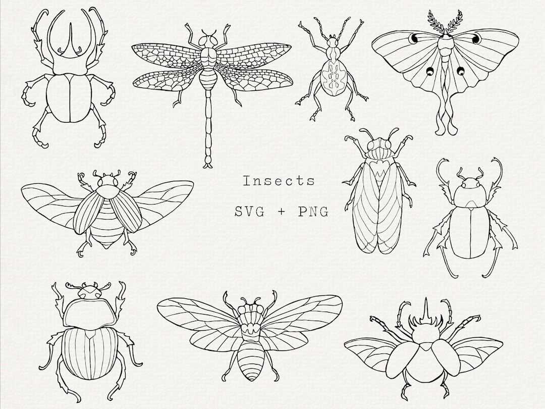 Insect SVG, Insects SVG Bundle, Insect Clipart, Scarab Beetle, Luna ...