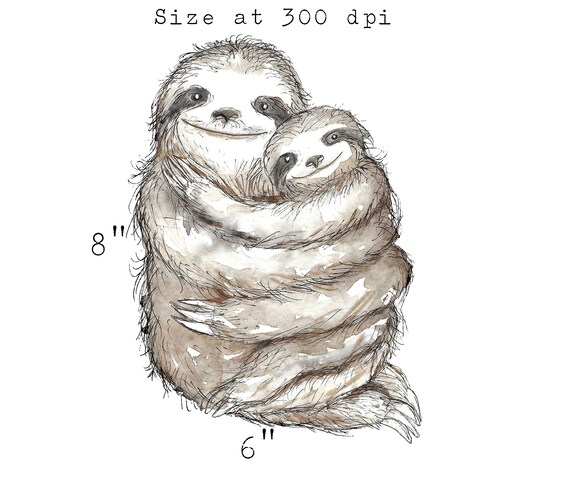 Sloth Clipart Realistic