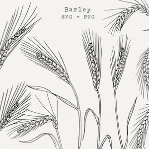 Barley SVG, Hand-drawn Barley Vector Clip Art, Simple Outline Drawing ...