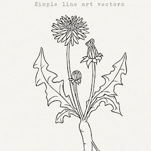 Dandelion SVG, Dandelions Vector Bundle, Cricut File, Botanical ...