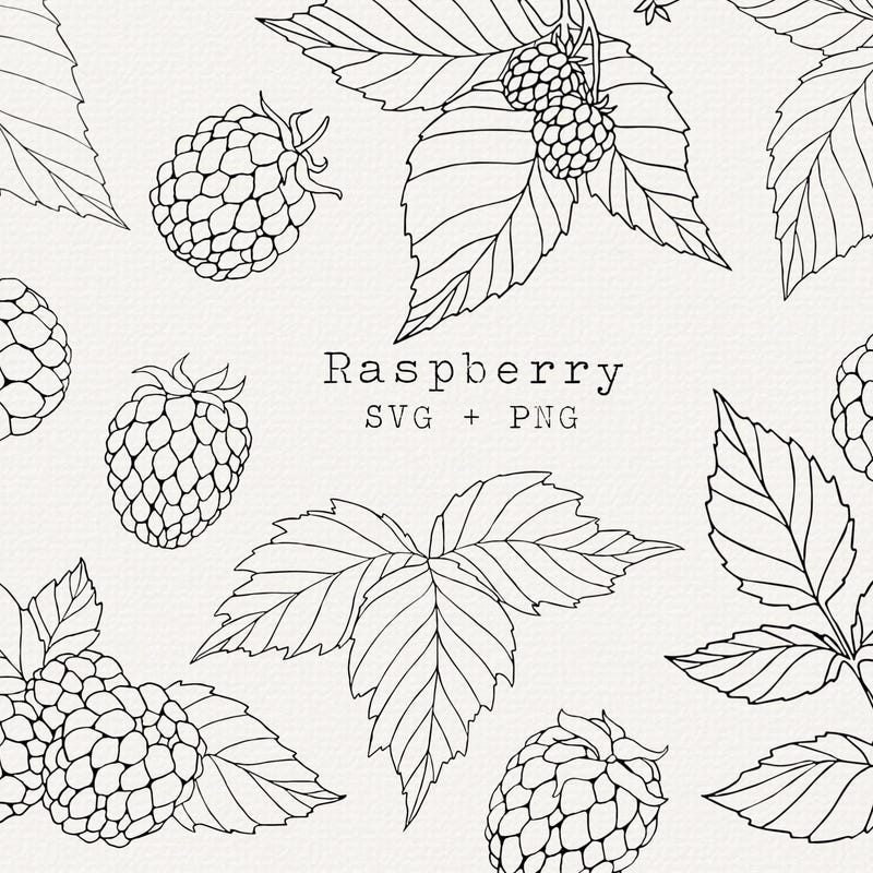Raspberry Svg - Etsy