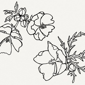Musk Mallow SVG, Mallow Clip Art Illustration, Vector Line Art, Wild ...