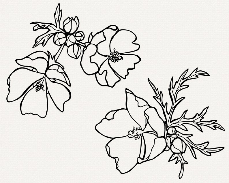 Musk Mallow SVG, Mallow Clip Art Illustration, Vector Line Art, Wild ...