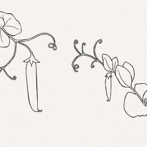 Snap Pea SVG Clip Art, Sweet Pea Illustration for Commercial Use ...