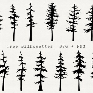 Trees SVG Forest SVG Evergreen Trees Vector Pine Tree | Etsy