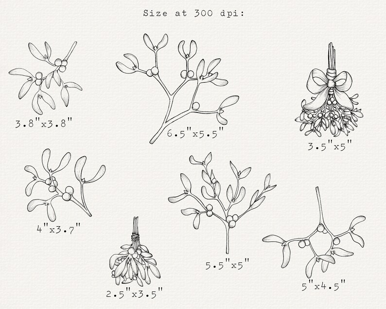 Hand Drawn Mistletoe Clipart, Botanical Illustration, Christmas Decor ...