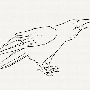 Raven SVG Bundle, Illustration for Commercial Use, Cut File for Cricut ...