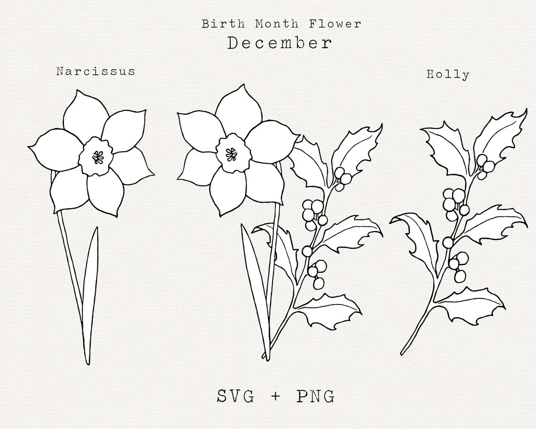 Birth Flowers For December