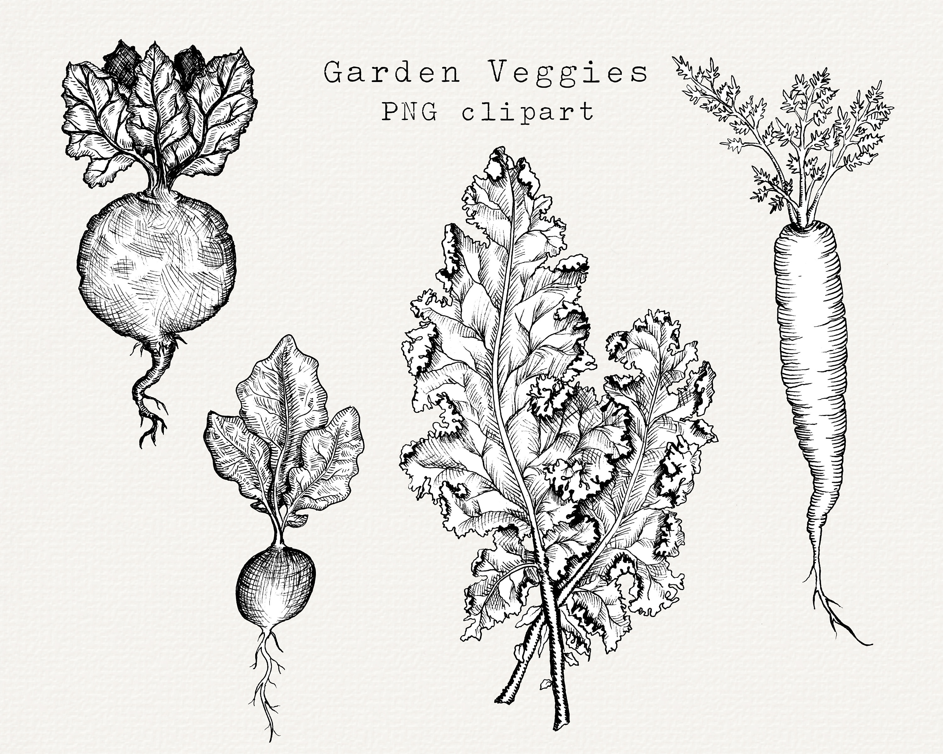 Vegetable Garden Clipart Black And White