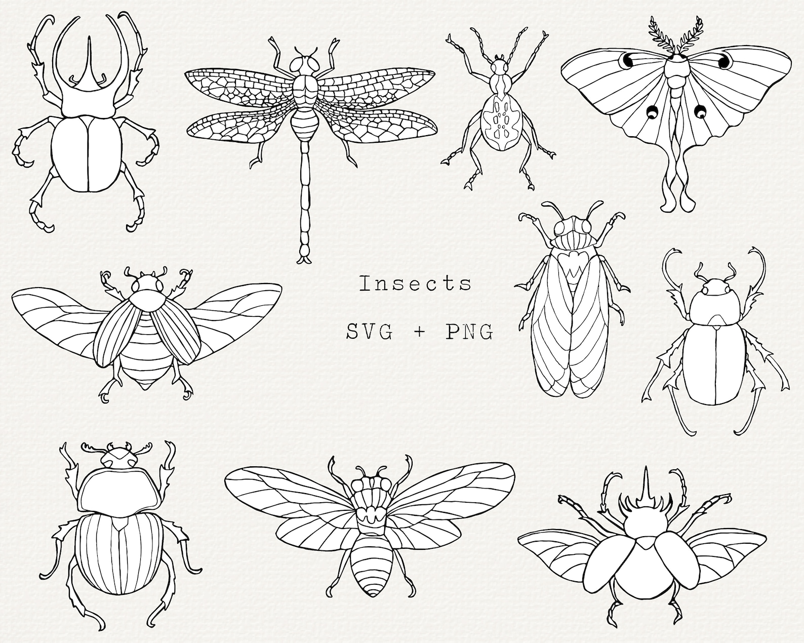 Insect SVG Insects SVG Bundle Insect Clipart Scarab Beetle - Etsy Australia