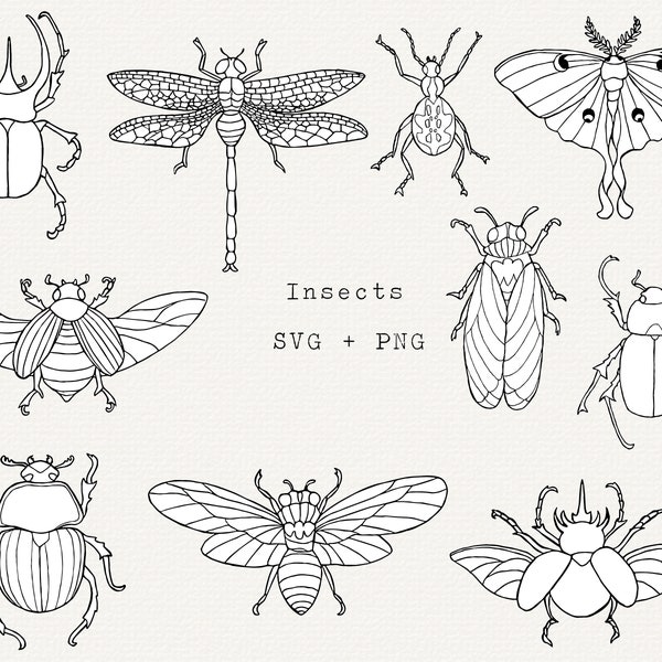 Insect Clipart - Etsy