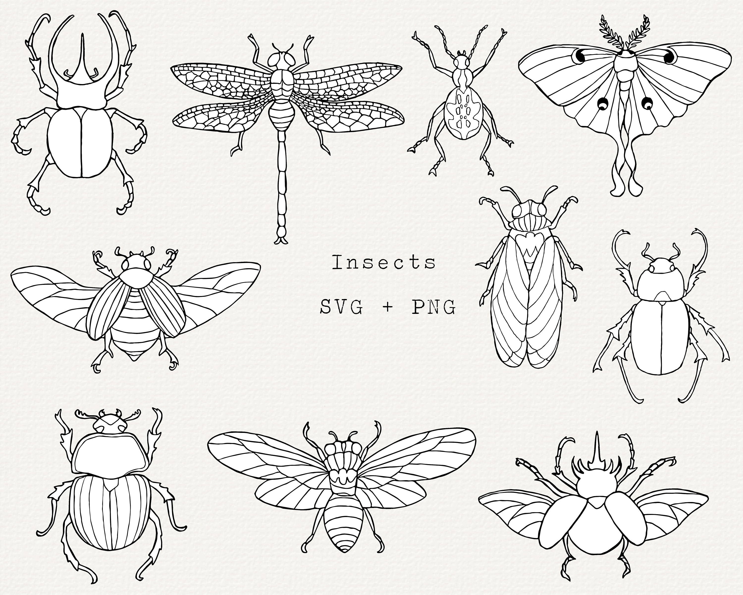 Insect SVG Insects SVG Bundle Insect Clipart Scarab Beetle - Etsy Australia
