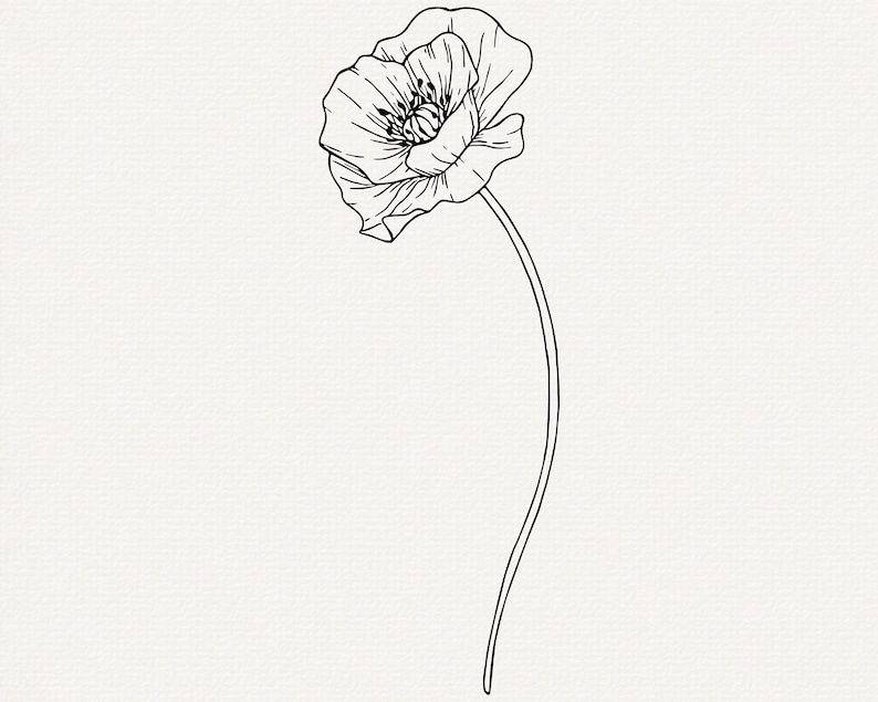 Poppy Line Art SVG: Floral Outline Vector Clip Art (commercial Use) - Etsy