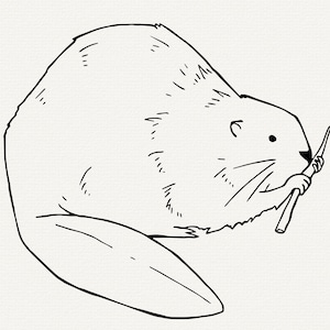 Beaver SVG Bundle, Beaver Illustration for Commercial Use, Cut File for ...