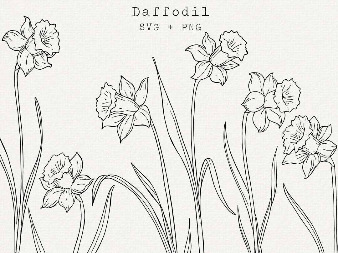 Daffodil SVG, Daffodils Clipart, Flower Line Art, Simple Outline ...