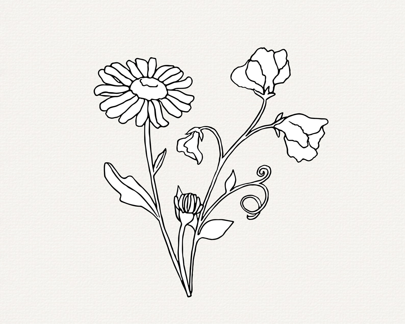 Daisy Svg Sweet Pea Svg April Birth Month Flower Svg April Etsy