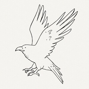 Raven SVG Bundle, Illustration for Commercial Use, Cut File for Cricut ...