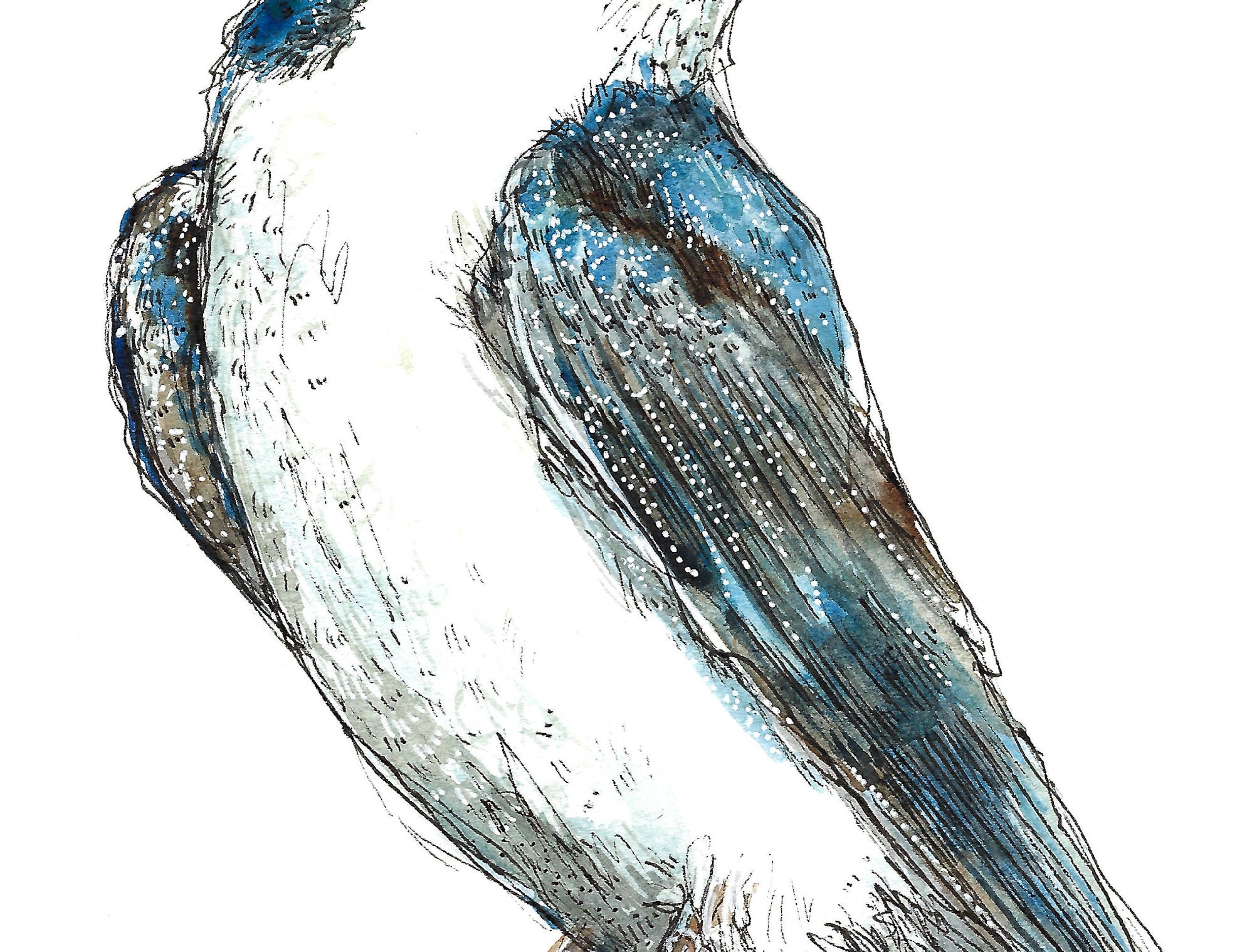 Tree Swallow Digital Download - Printable Watercolor Bird Art ...