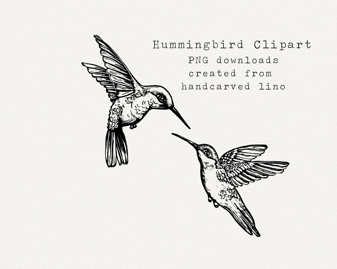 Hummingbird Clipart, Hand Drawn Hummingbird PNG, Black Outline, Line ...