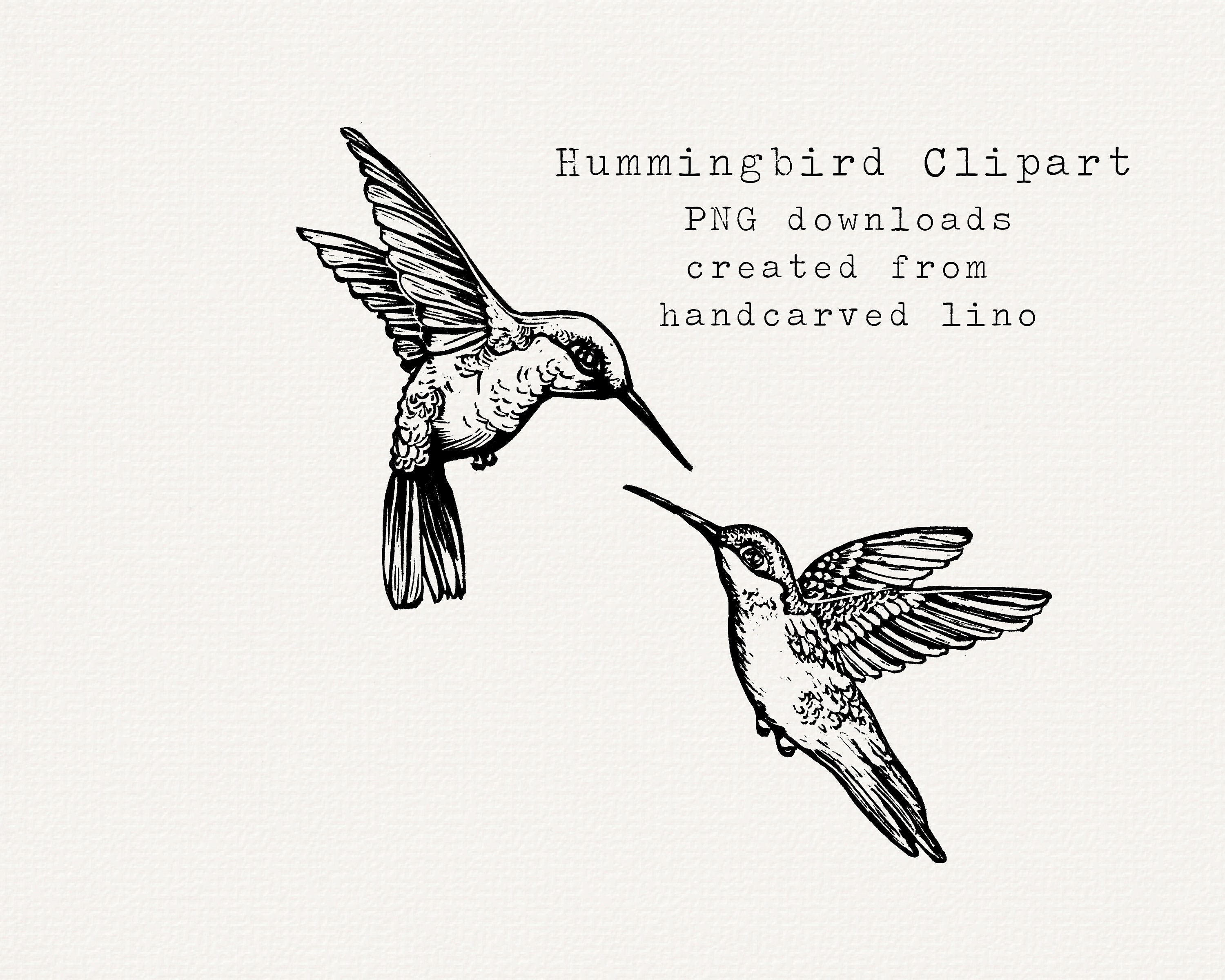 Cute Hummingbird Clipart Digital Illustration Image Hummingbird Clipart ...