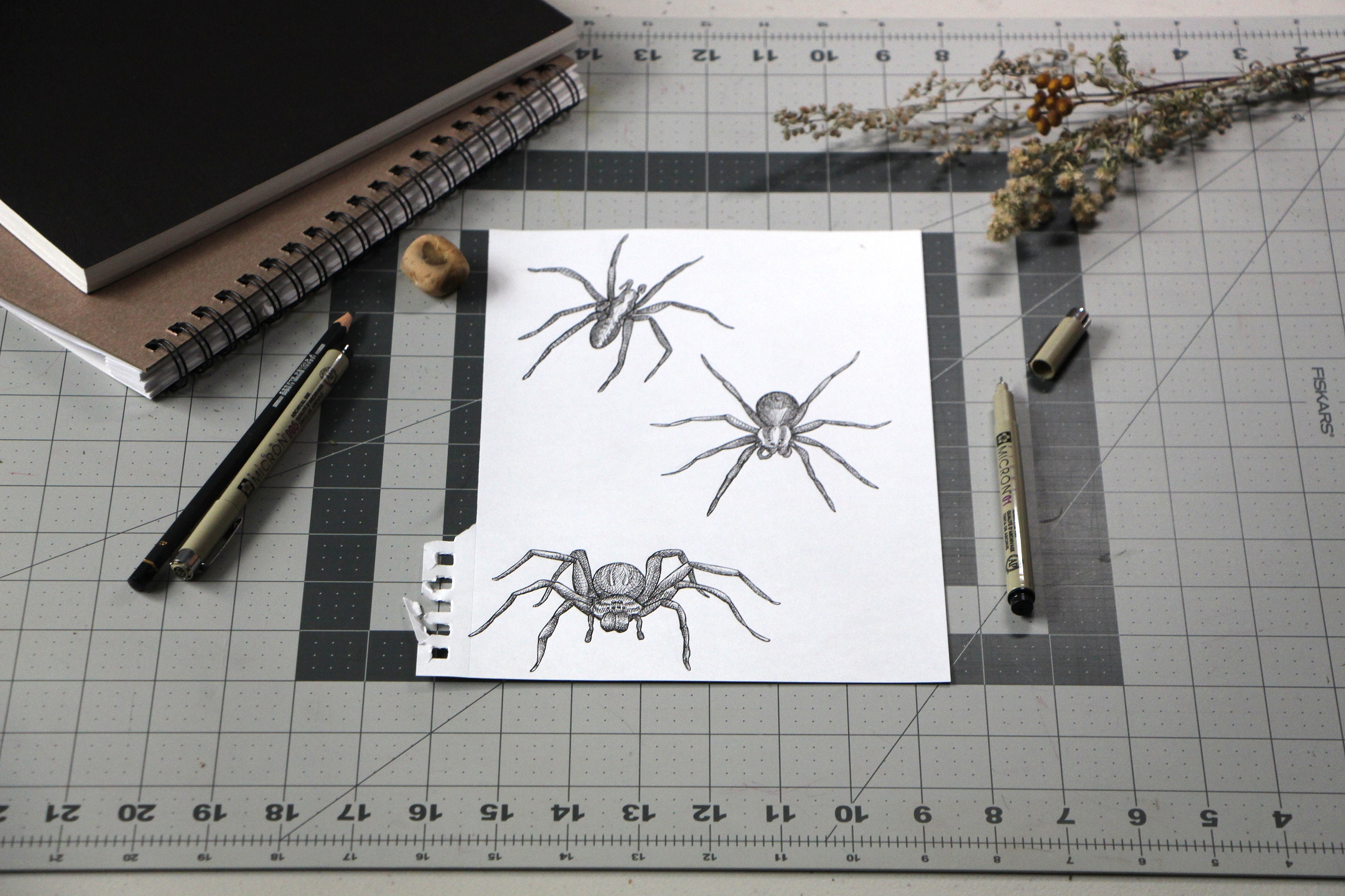 Spider Clip Art Hand Drawn Spider PNG Spider Ink - Etsy Australia