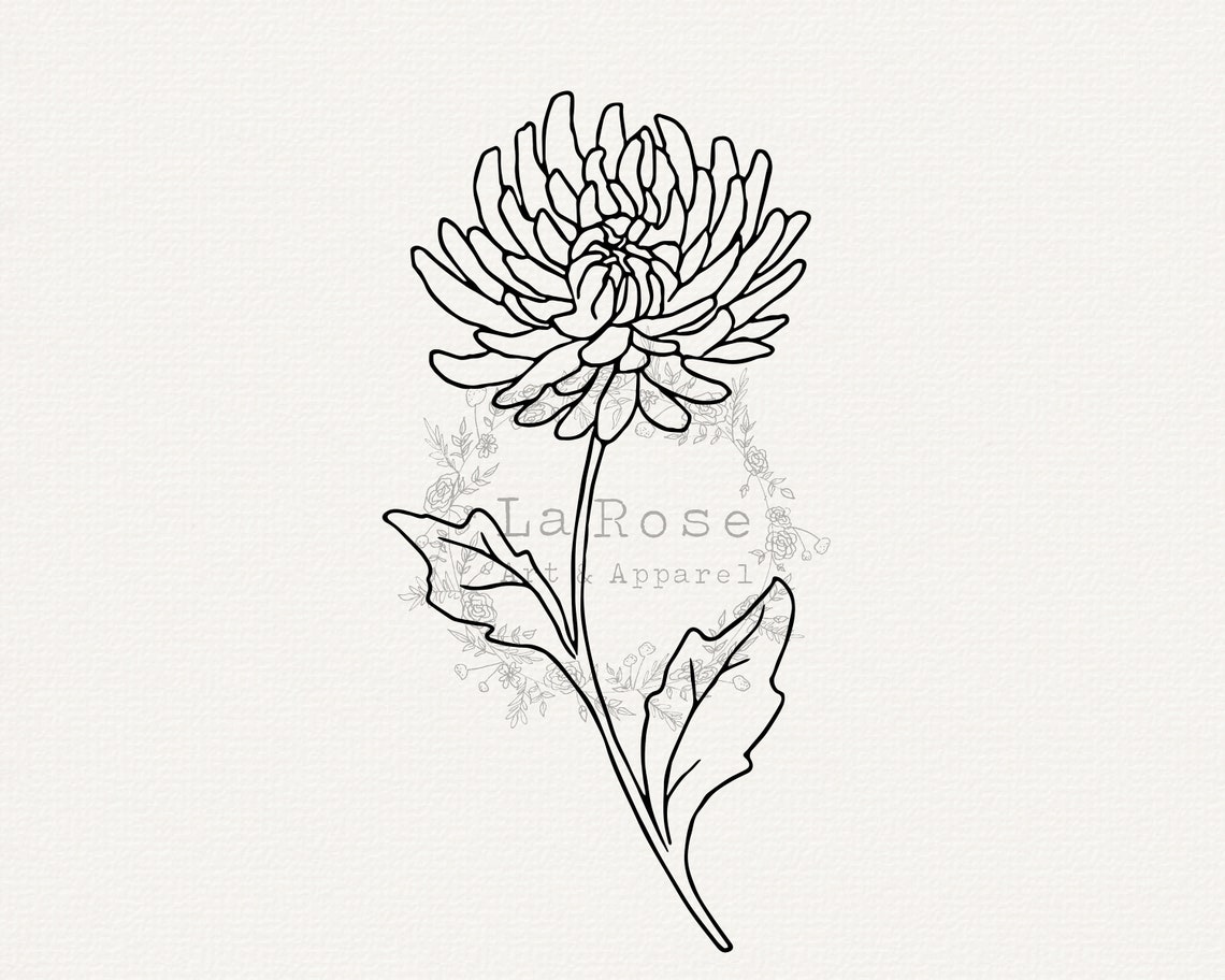 Chrysanthemum SVG, Chrysanthemum Flower Hand Drawn Clipart, November ...