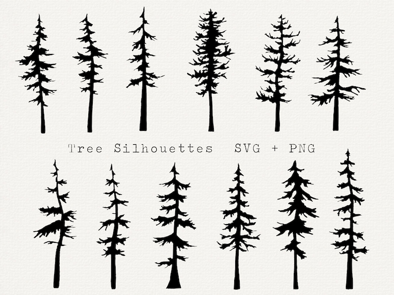 Árboles SVG, Bosque SVG, Árboles de hoja perenne vectoriales, Silueta ...