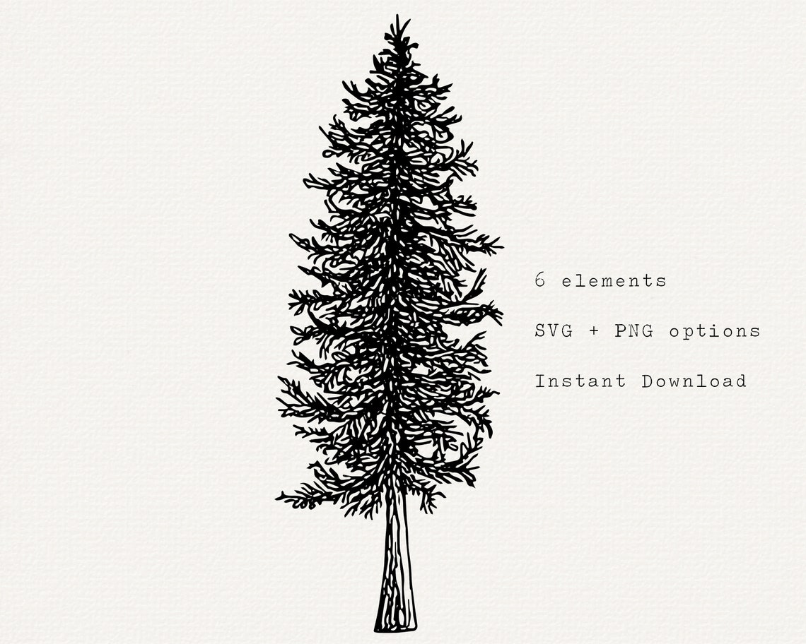 Tree SVG, PNG, Evergreen Tree Vector Graphics, Hand Drawn Forest ...