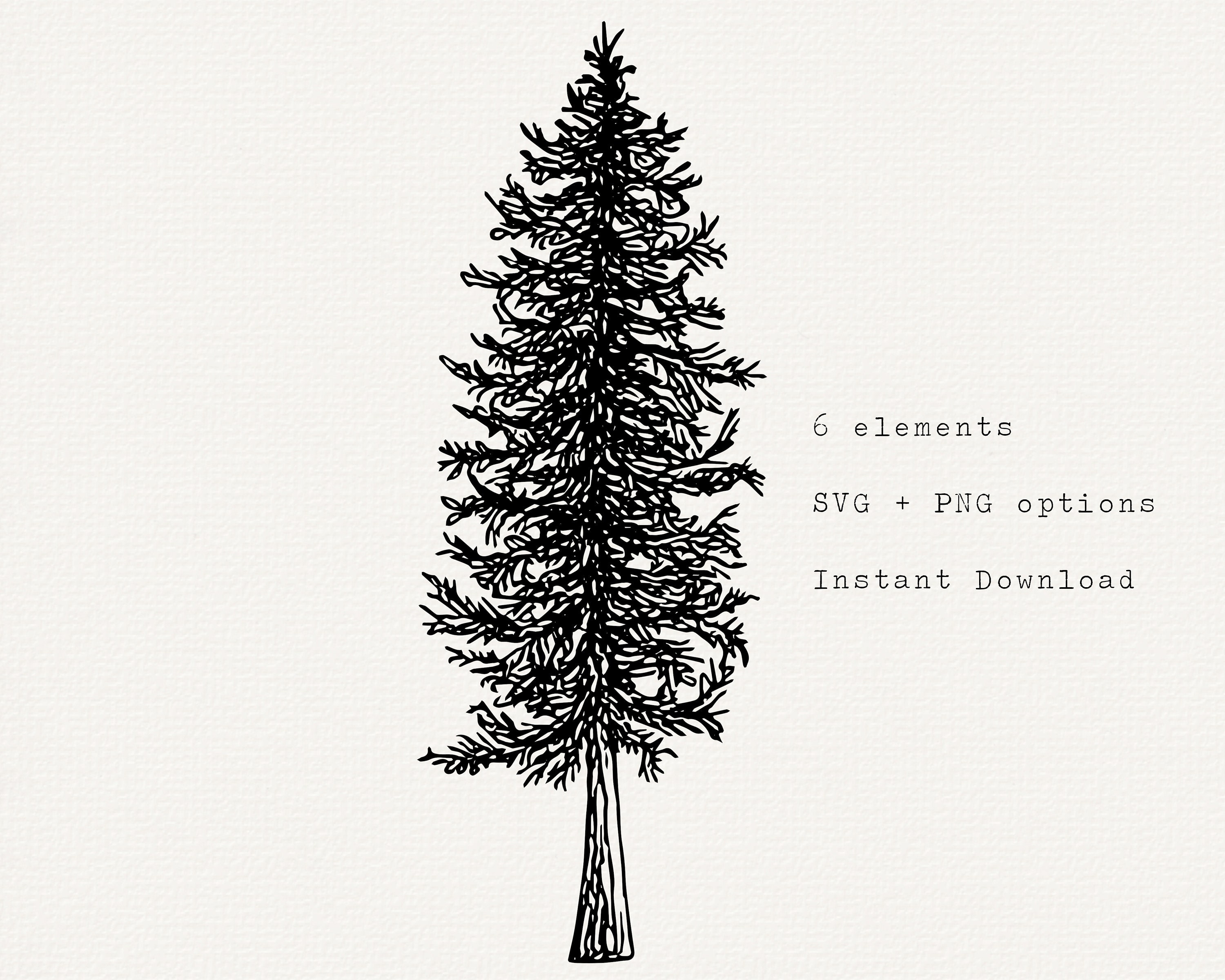 Tree SVG, PNG, Evergreen Tree Vector Graphics, Hand Drawn Forest ...