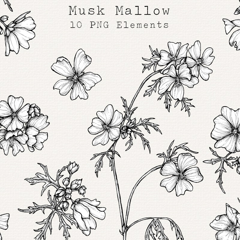 LaRoseArtStudios - Etsy