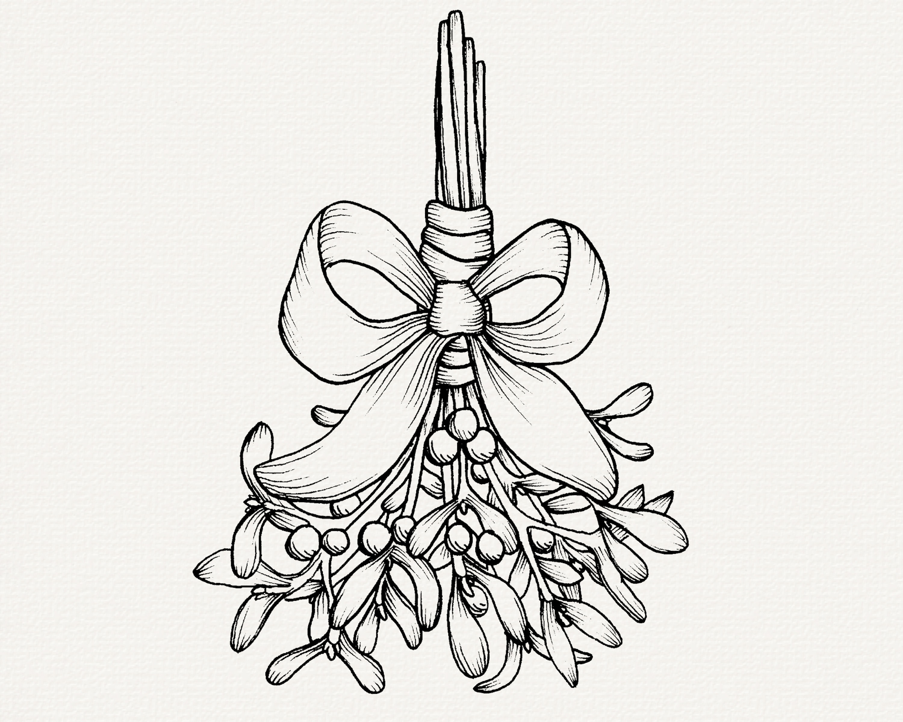 Hand Drawn Mistletoe PNG Bundle Winter Botanical Christmas | Etsy