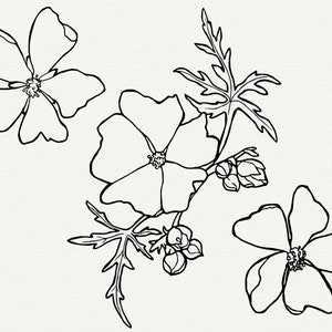 Musk Mallow SVG, Mallow Clip Art Illustration, Vector Line Art, Wild ...