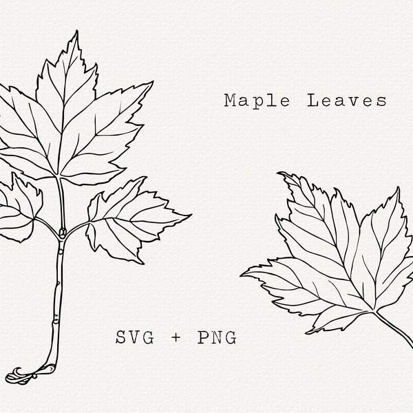 Maple Leaf Line Art - Etsy