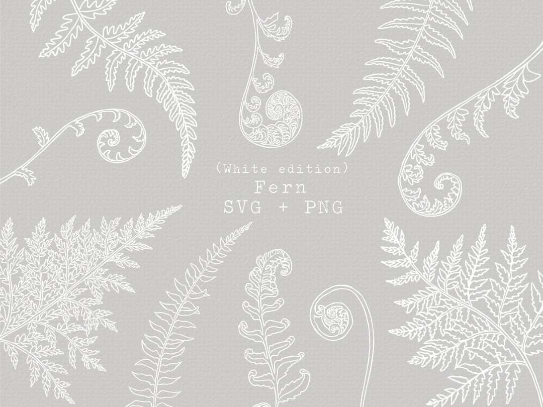 White Fern SVG Bundle, Fern Fronds Clip Art, Hand Drawn Botanical PNG ...
