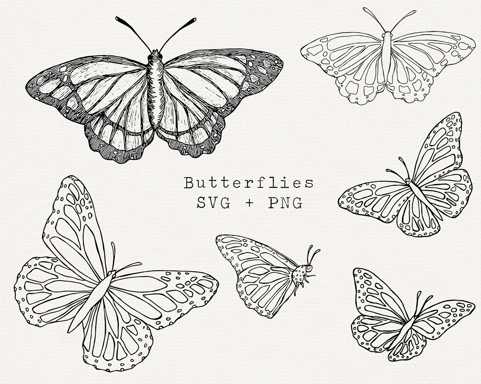 Butterfly SVG Butterflies Vector Illustration Monarch - Etsy