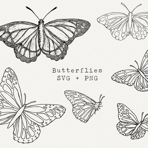 Butterfly Svg Butterflies Vector Illustration Monarch Etsy