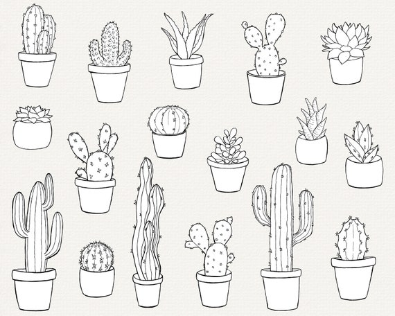 Cactus Drawing Outline