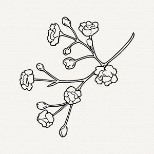 Baby's Breath SVG, Gypsophila Clip Art, Flower Line Art, Cricut Cut ...