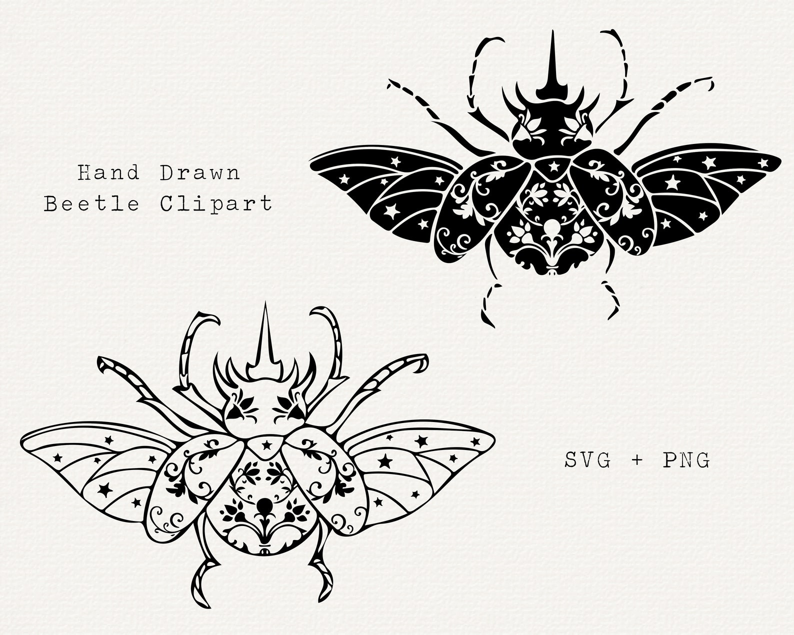 Beetle Svg Scarab SVG Bug Cut File Floral Bug SVG Files - Etsy