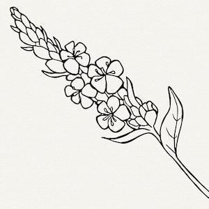 Mullein SVG, Mullein Plant Clip Art, Mullein Herb Illustration ...