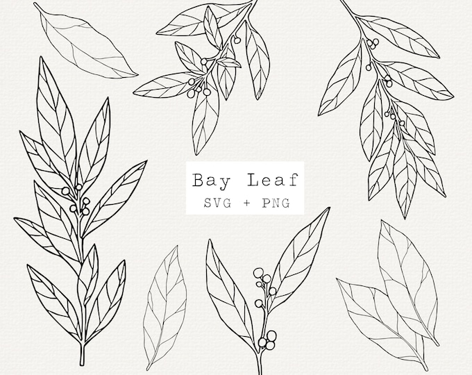 Printable: One Dozen Bay Leaves for Manifesting. It's All About the ...