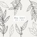 Bay Leaf SVG Clip Art, Commercial Use, Bay Plant Vector Illustration ...
